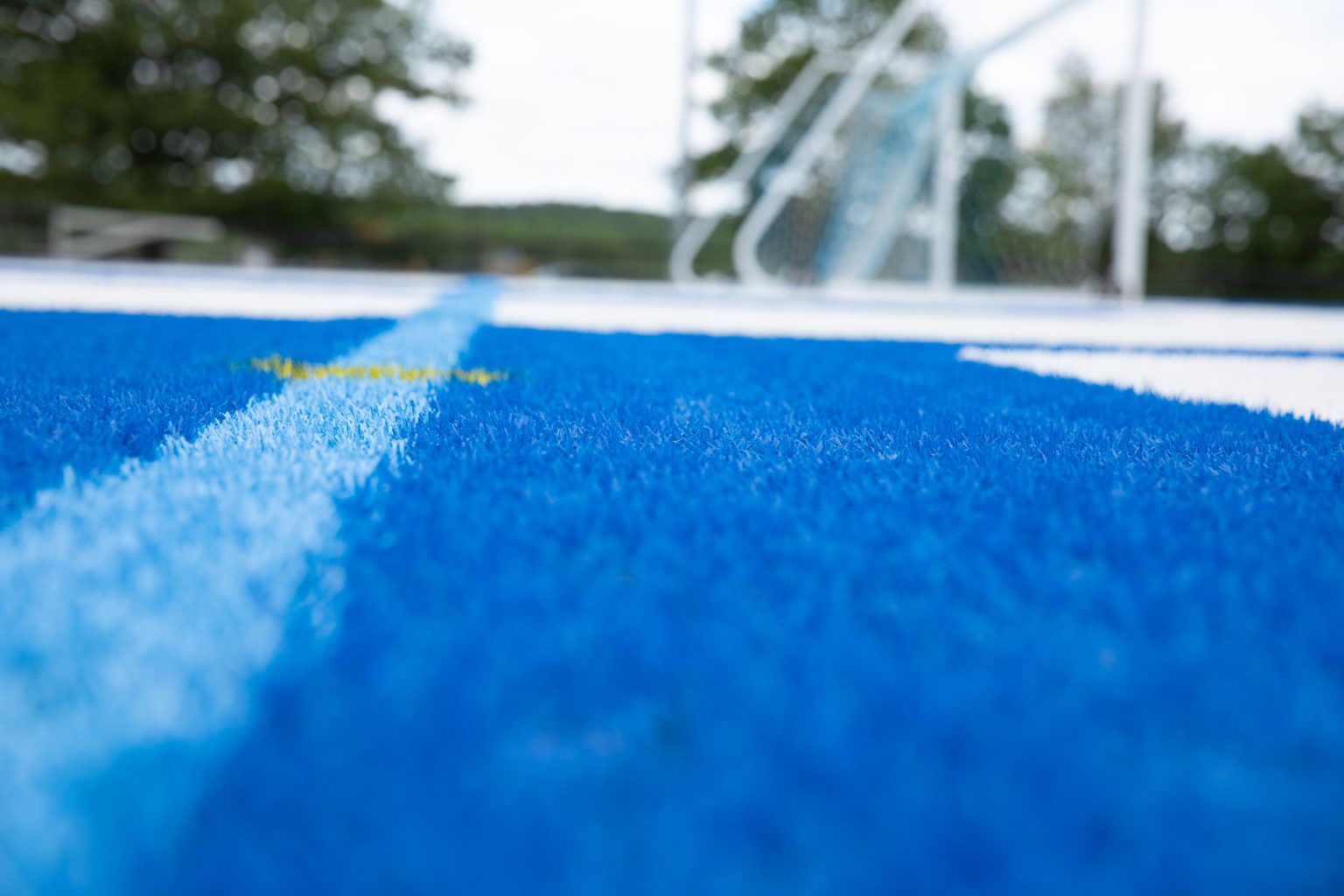 Athletics and Recreation - Colby College Admissions